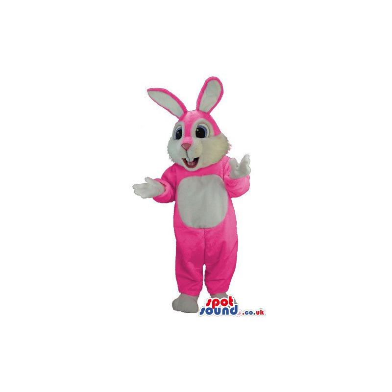 Buy Mascots - SPOTSOUND UK - Rabbit mascot
