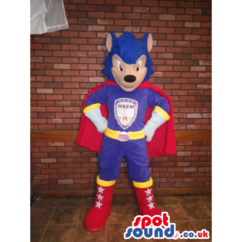 Buy Mascots Costumes in UK - Sonic The Hedgehog Iconic Video Game ...