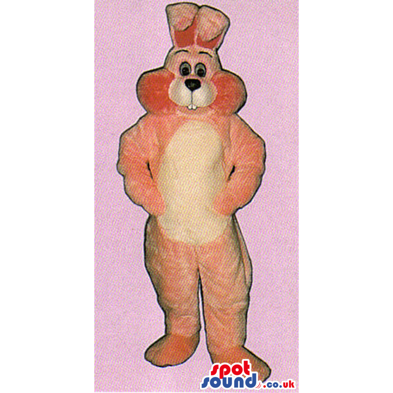 Buy Mascots Costumes in UK - Pink Rabbit Mascot With A Black Nose And A ...